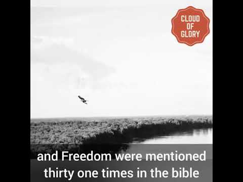 Spiritual meaning of day number thirty one of the month by Pastor Olanrewaju Abraham