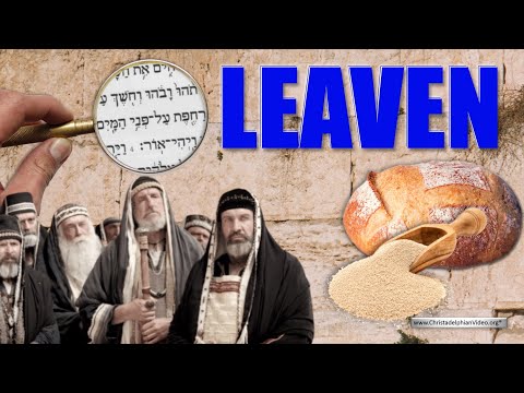 Leaven - simi hills David Clubb