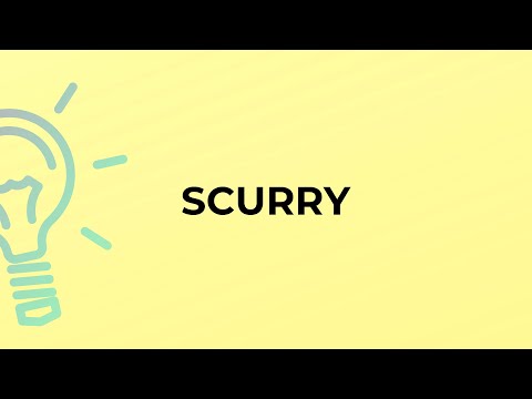 What is the meaning of the word SCURRY?