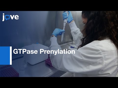 GTPase Prenylation Detection by GTPase-linked Immunosorbent Assay | Protocol Preview
