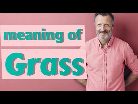Grass | Meaning of grass