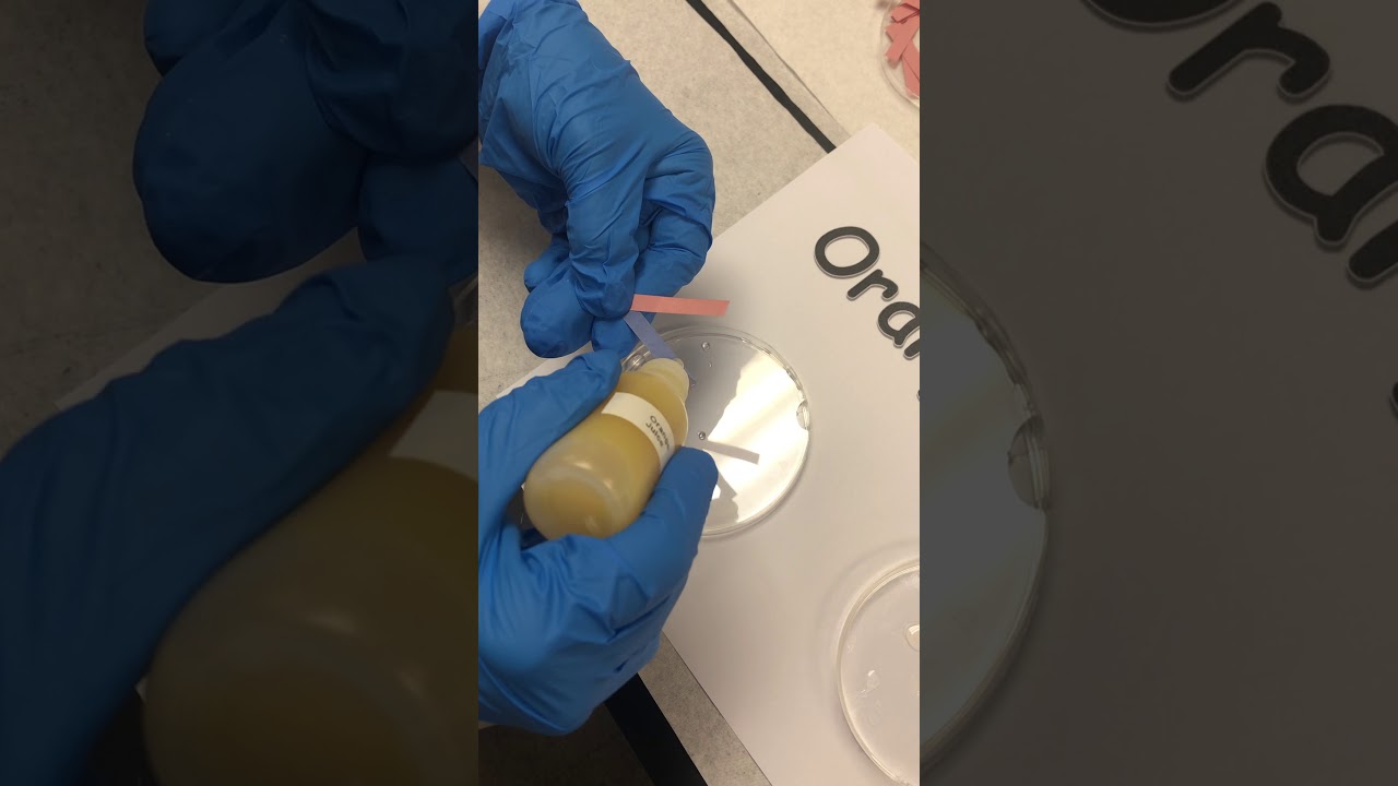 Orange Juice Acid Base