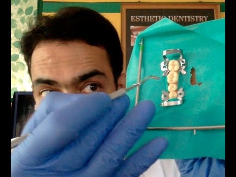 Rubber Dams - Dental Dam Latest Price, Manufacturers & Suppliers