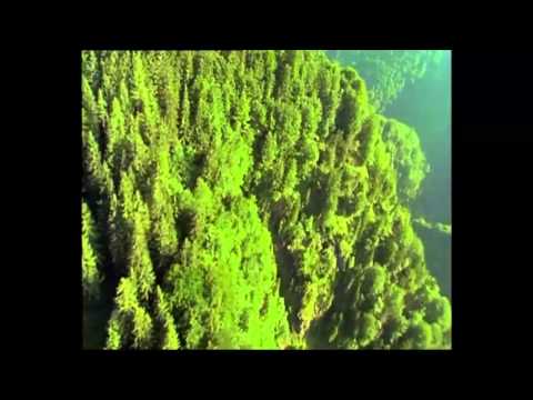 BBC Wild Europe - Episode 4 A New Millennium - BBC Documentary