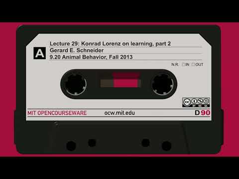 Lec29: Konrad Lorenz on learning, part 2