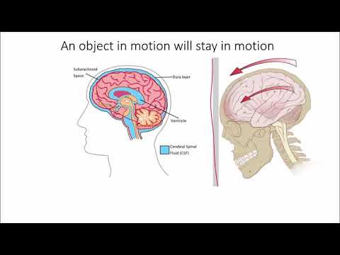 Examples of Newton's 1st - Why do we need seatbelts? (TEKS 8.6C)