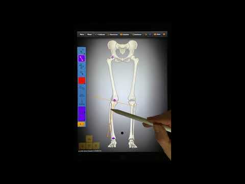 Bone Ninja Tutorial