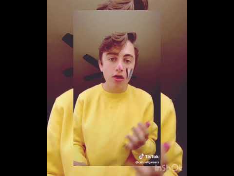 Flamingo-Adam Tyler cover tik tok