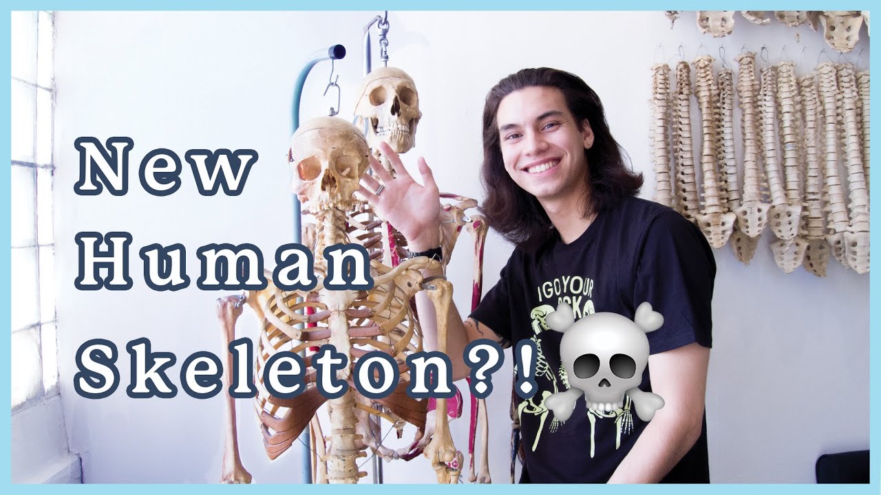 I Got A Real Human Skeleton!
