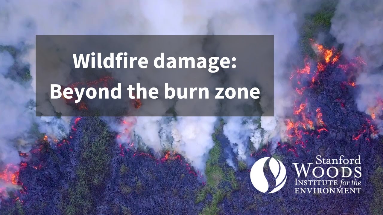 Wildfire Studies at Stanford