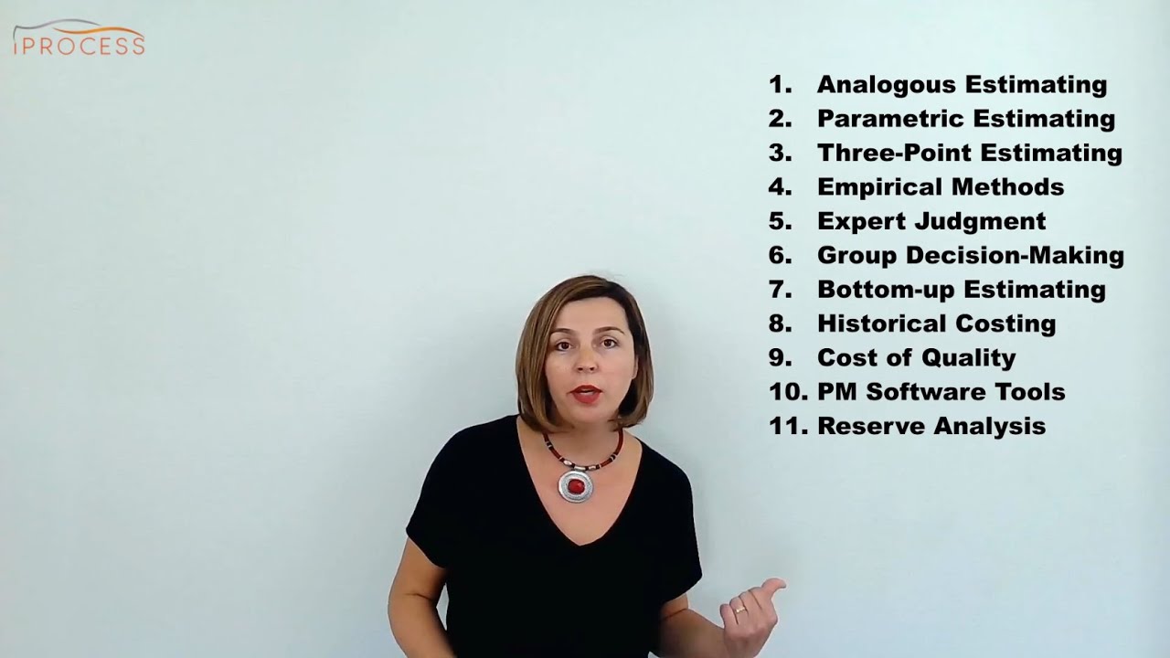 Estimation techniques for project efforts