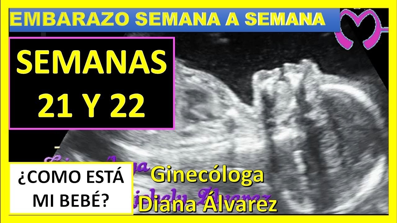 SEMANA 21 Y 22 DE EMBARAZO SEMANA A SEMANA, POR GINECOLOGA DIANA ALVAREZ