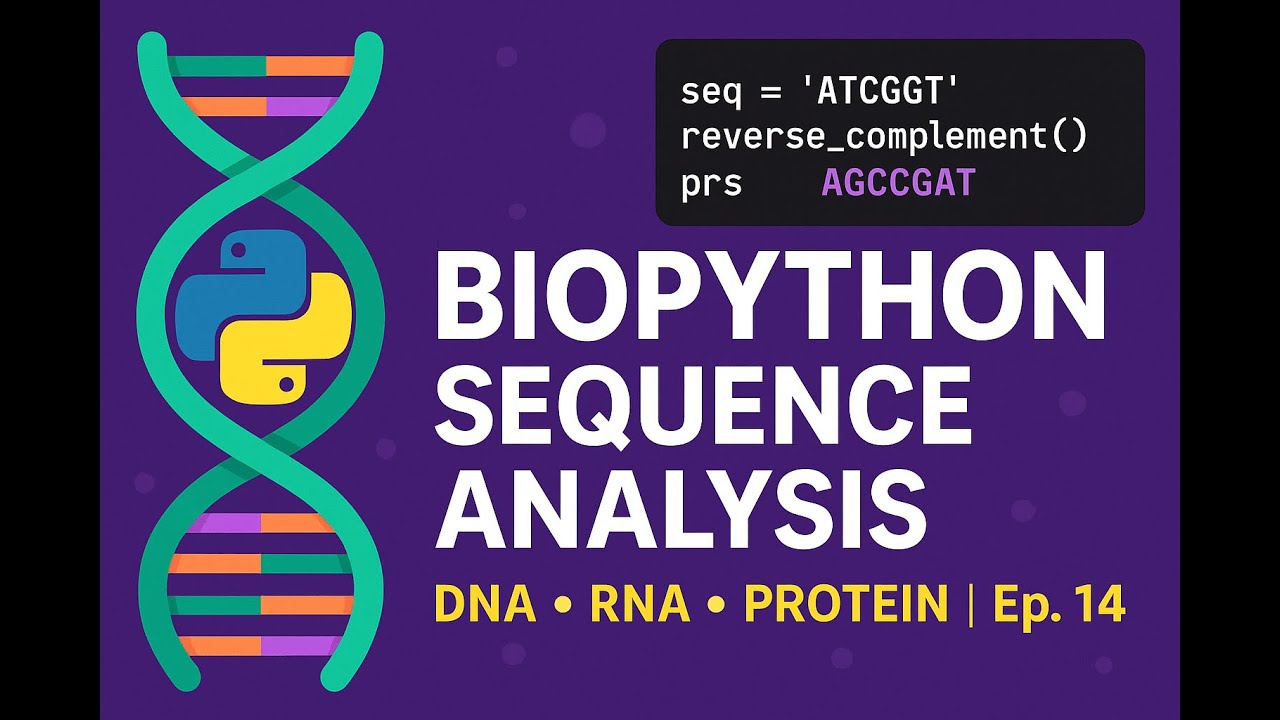 🧬 Sequence Analysis with Biopython | DNA, RNA & Protein | Bioinformatics Ep. 14