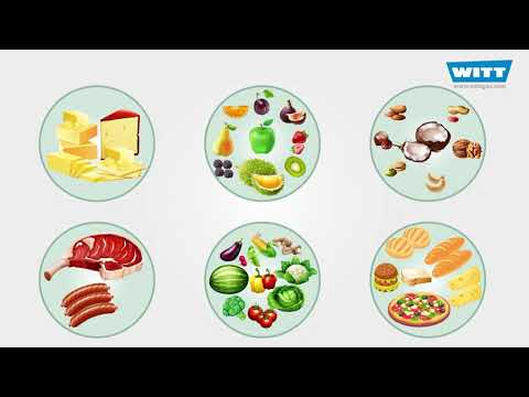 Modified Atmosphere Food Packaging (MAP) - how it works, benefits, gases, requirements