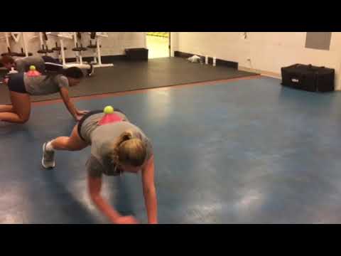 Bear/Lateral Crawl – Edwards Training Systems