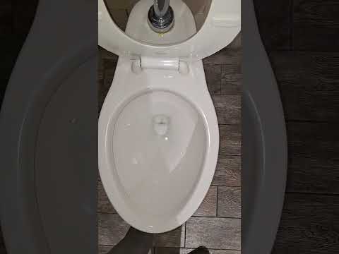 2013 American Standard Madera Toilet