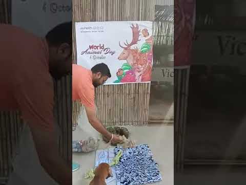 DONATED BY AVANTI OVERSEAS PVT LTD COMPANY TO OUR NGO STRAY KIDS.