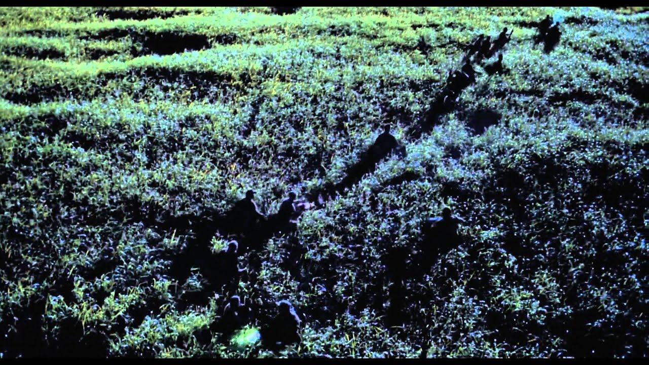 Velociraptors Long Grass