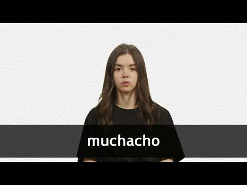English Translation of “MUCHACHO” | Collins Spanish-English Dictionary