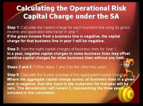 Basel II Operational Risk-Standardized approach