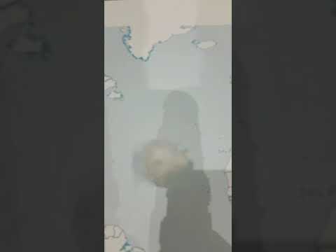 Hurricanes how they are formed and there path.