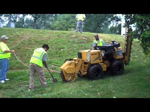 2012 - PLANET Renewal & Remembrance