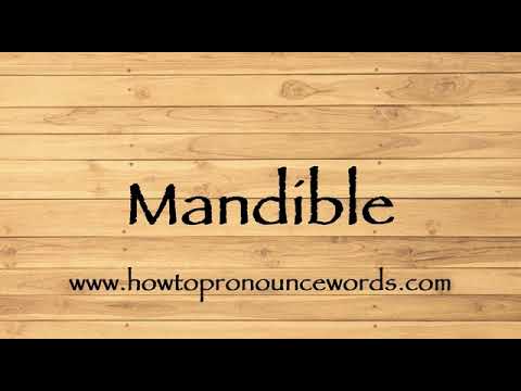 How To Pronounce Mandible ? How To say Mandible New Video