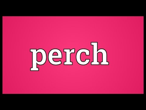 Perch Meaning