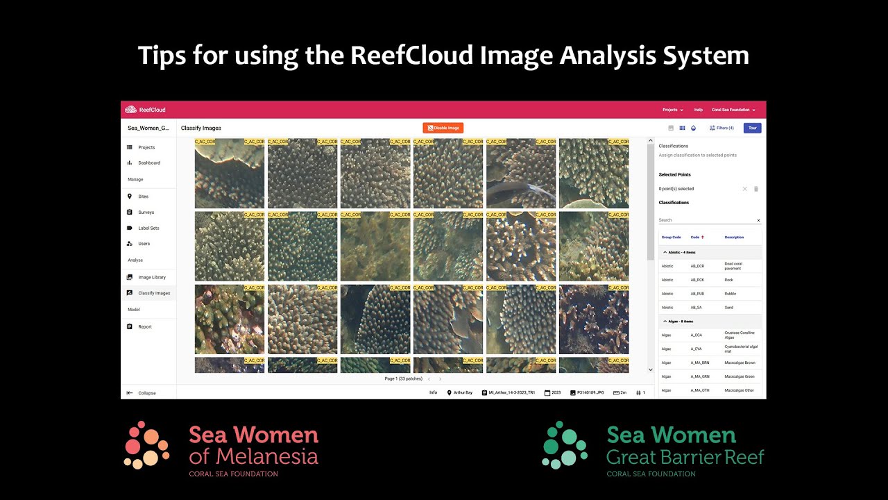 Tips for using Reefcloud