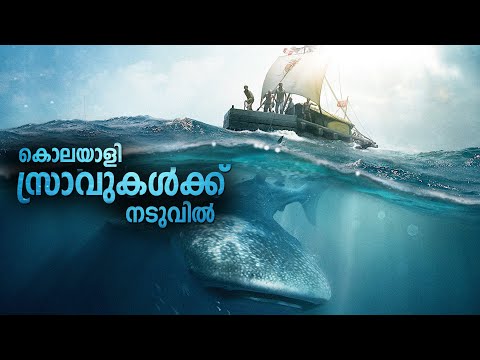 വെറുമൊരു ചങ്ങാടത്തിൽ കടൽ കടന്നവരുടെ കഥ | Kon Tiki Explained in Malayalam | Movie Explained
