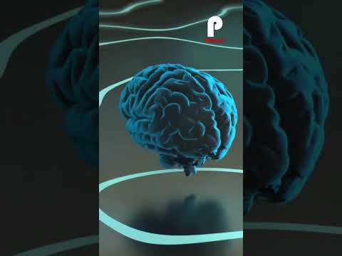 Neuroimaging