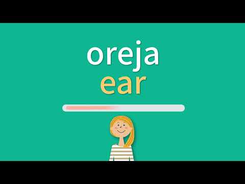 ¿Cómo lo dices oreja en inglés?