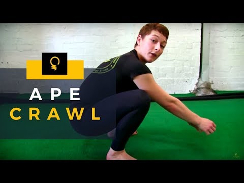 Traveling Ape | myworkouts.io
