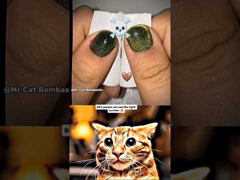 Guess Number???? #cat #memes #popular #meme #trending #duet #respect #funny #viralshort #latest