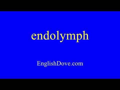 How to pronounce endolymph in American English