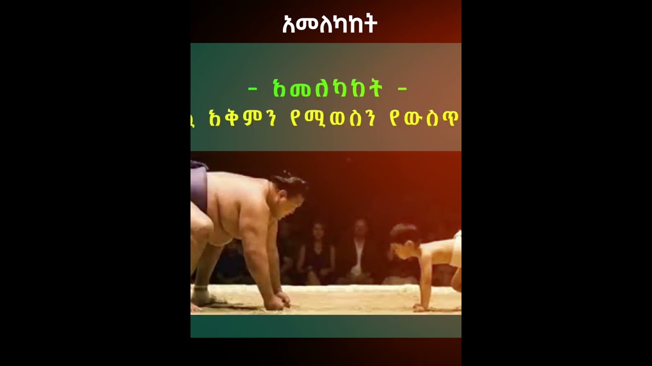 dr meheret debebe (አመለካክት)