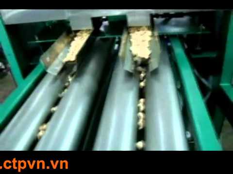 Kaju Grading Machine - Cashew Nut Grading Machine Latest Price ...
