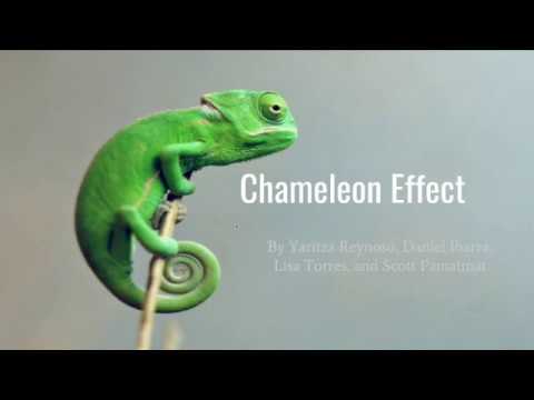The Chameleon Effect