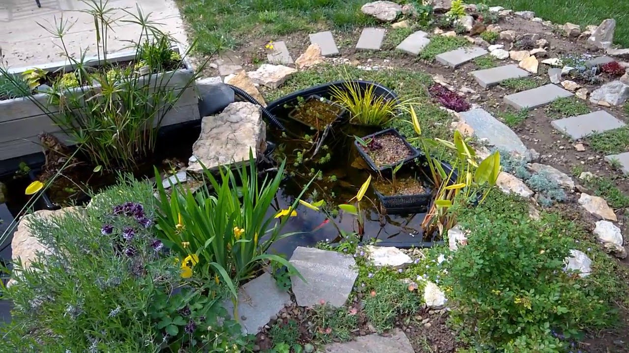 Pond Overview Spring 2016