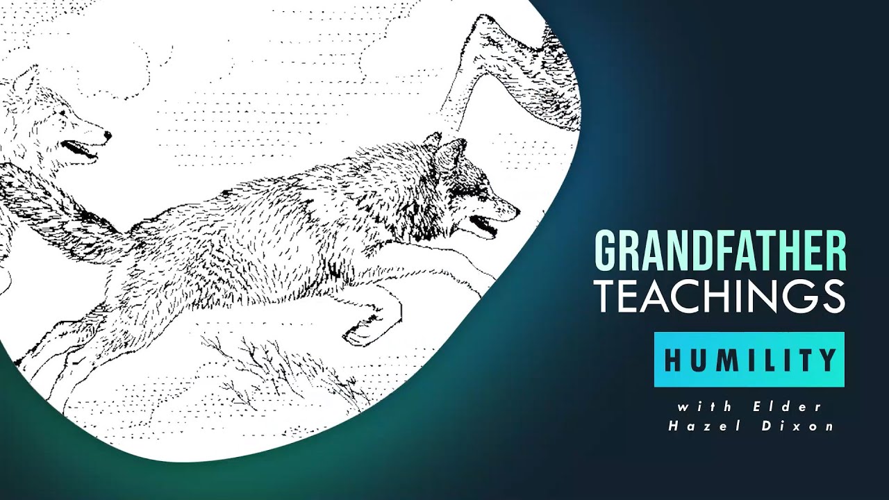 The Power of Humility: Lessons from Nature and Life | Galaxy.ai