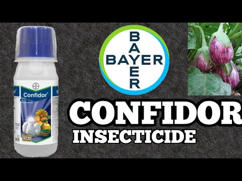 CONFIDOR INSECTICIDE || BAYER || IMIDACLOPRID 17.8 W/W% ||