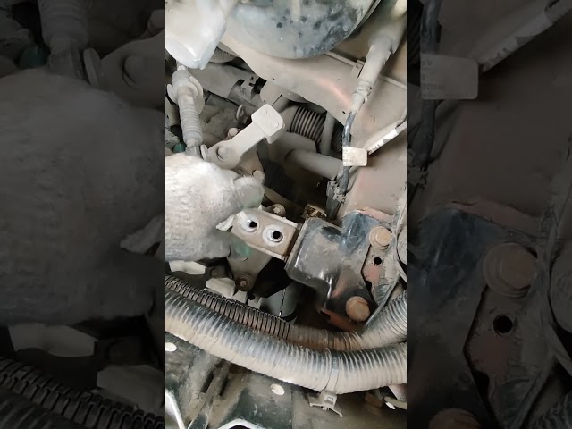 3194021002 Опора Кпп Задняя Ssang Yong