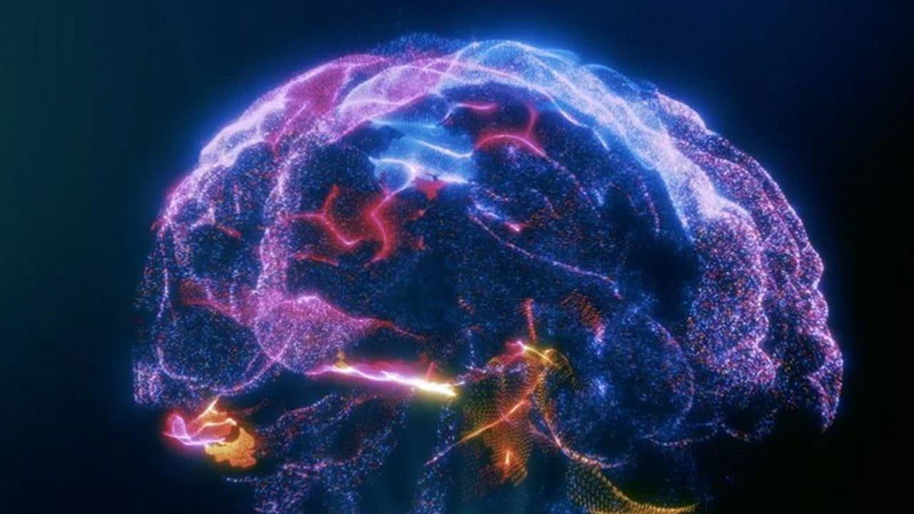 Artificial Intelligence Digital Brain :: No Copyright Video