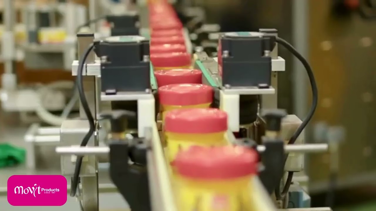 Movit Production Plant Overview