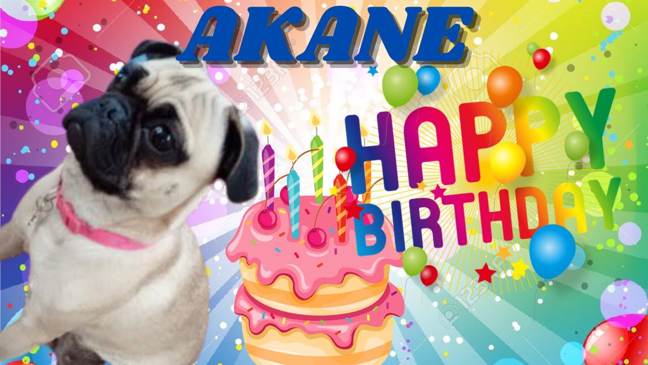 FELIZ CUMPLEAÑOS PERRUNO 