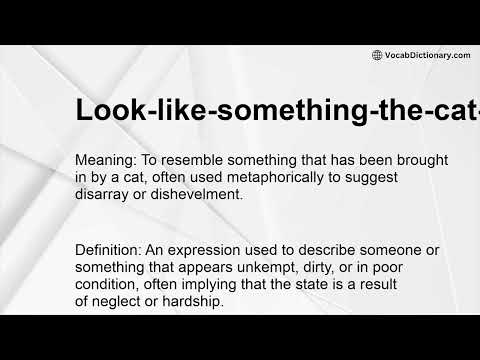 Look-like-something-the-cat-dragged-in Meaning