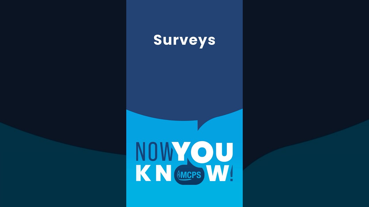 Now You Know!  Surveys