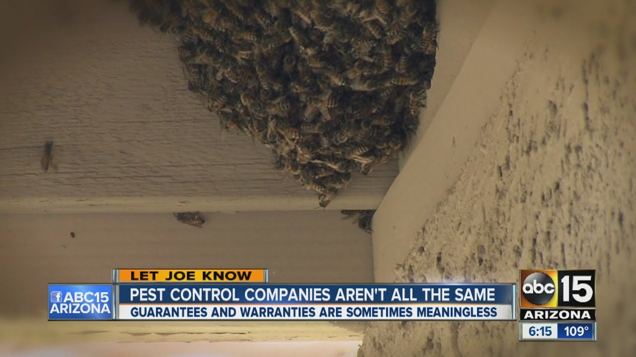 Pest control companies aren’t all the same