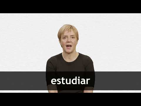 English Translation of “ESTUDIAR” | Collins Spanish-English Dictionary