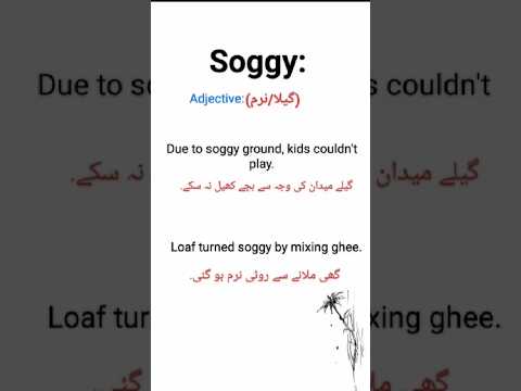 Soggy sentence #soggy meaning in Urdu #soggy adjective #